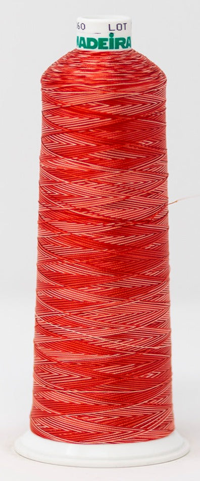 Madeira Rayon #40 | Machine Embroidery Thread | 5,500 Yards | Variegat ...