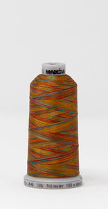 Madeira Variegated Embroidery Thread Color 1600 — AllStitch Embroidery ...